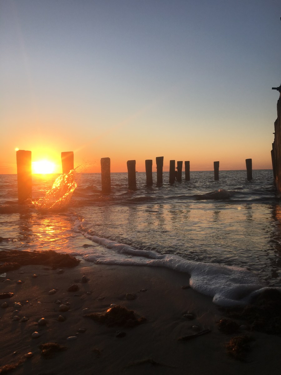 Sunset Junkie – Noellie's Place